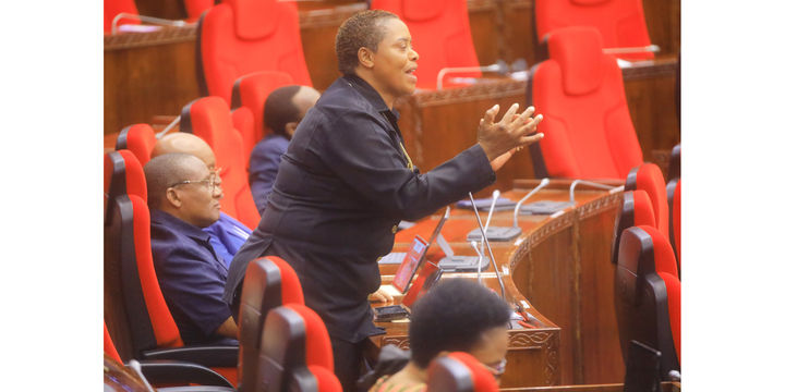 Tanzania’s priorities in education as budget rises to nearly Sh2 ...