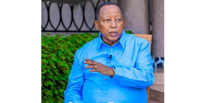 Ex-PM wants bank tenure limit scrapped, but BoT chief adamant | The Citizen