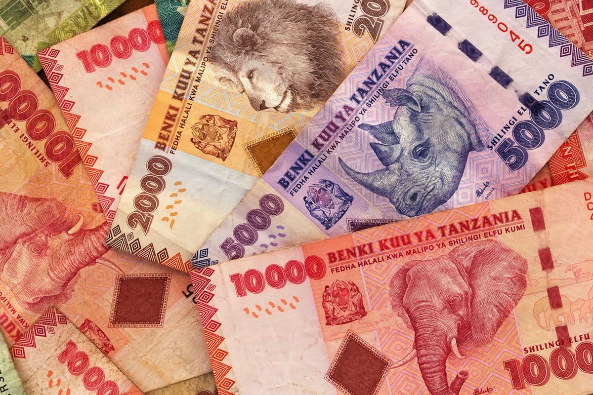 Why two companies won Bank of Tanzania banknote reprint tender | The ...