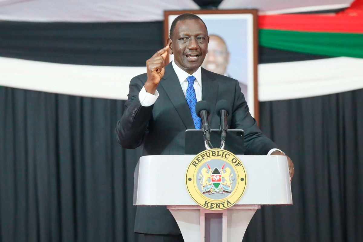Friend or foe? Ruto admission exposes UAE’s hand in Horn of Africa ...