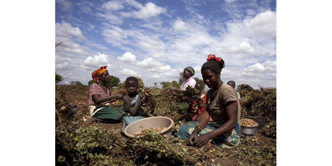 World Bank, TASAF laud progress in poverty alleviation efforts in ...