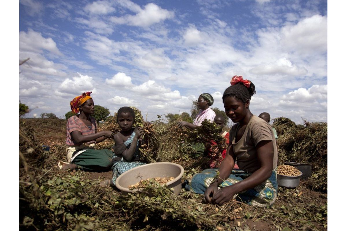 World Bank, TASAF laud progress in poverty alleviation efforts in ...