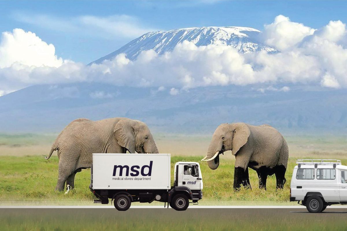 Policy challenges: MSD struggles with drug trading within SADC ...