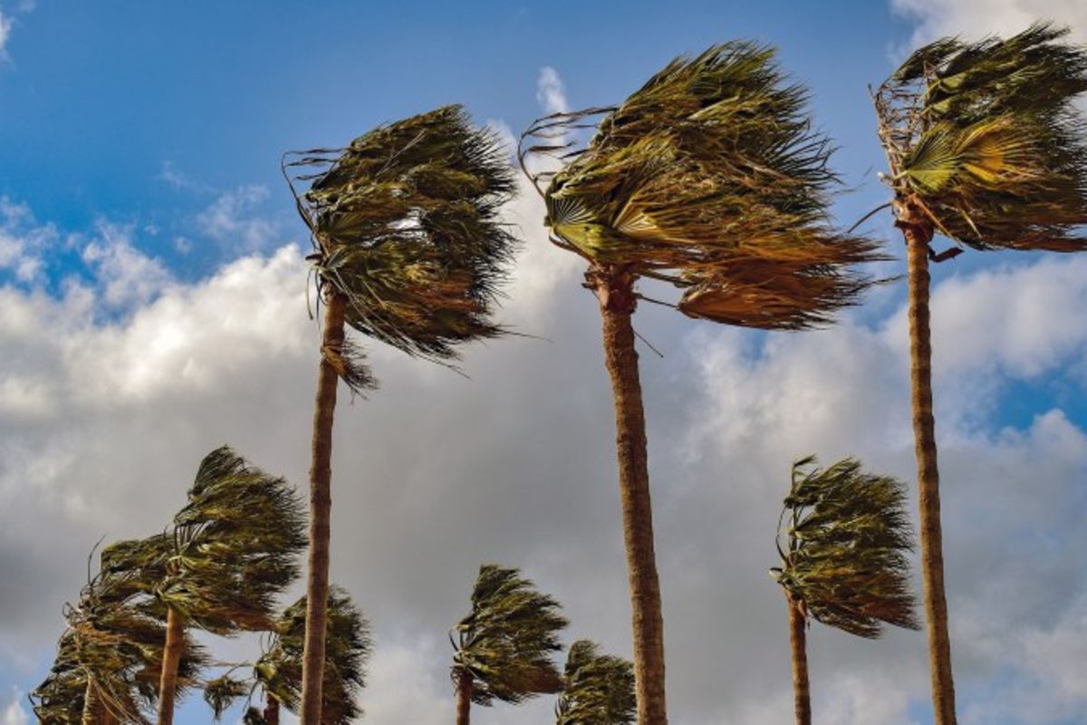Tanzania's weatherman issues strong wind and wave alert for 11 regions ...