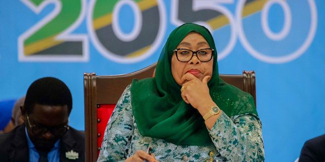 Vision 2050 Why Tanzania Needs A Public Service Overhaul The Citizen