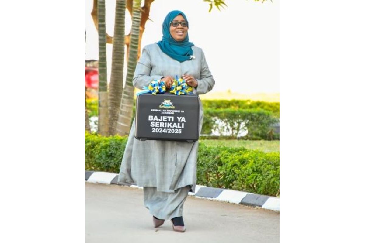 Zanzibar unveils strategic budget for 2024/25 financial year | The Citizen