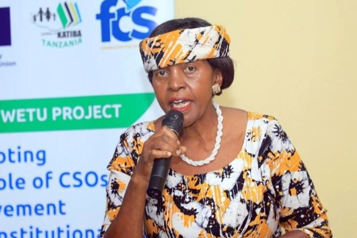 Hopes and challenges as Tanzanian elections near | The Citizen