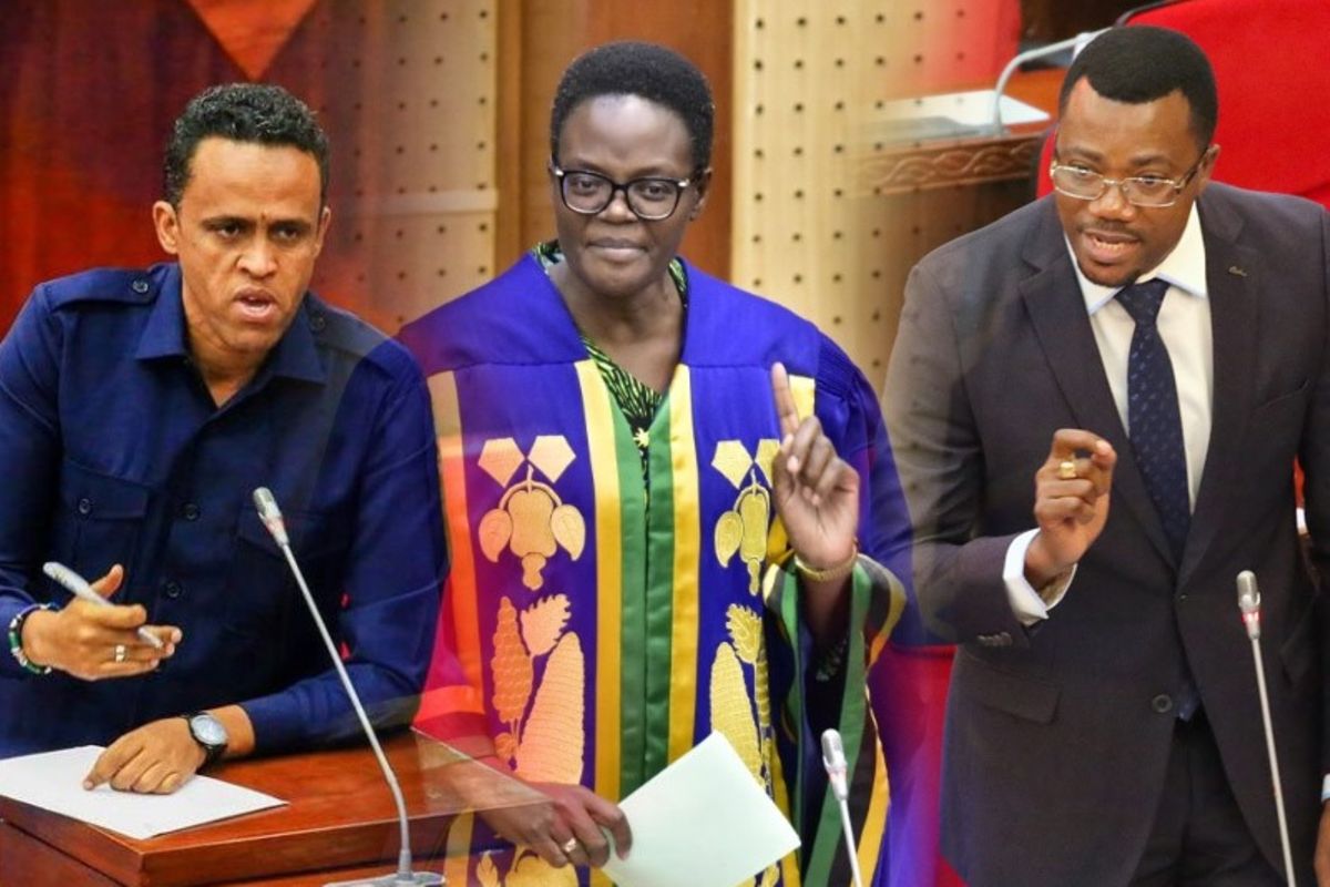 Who is telling lies in Tanzania’s sugar debate between minister Bashe ...