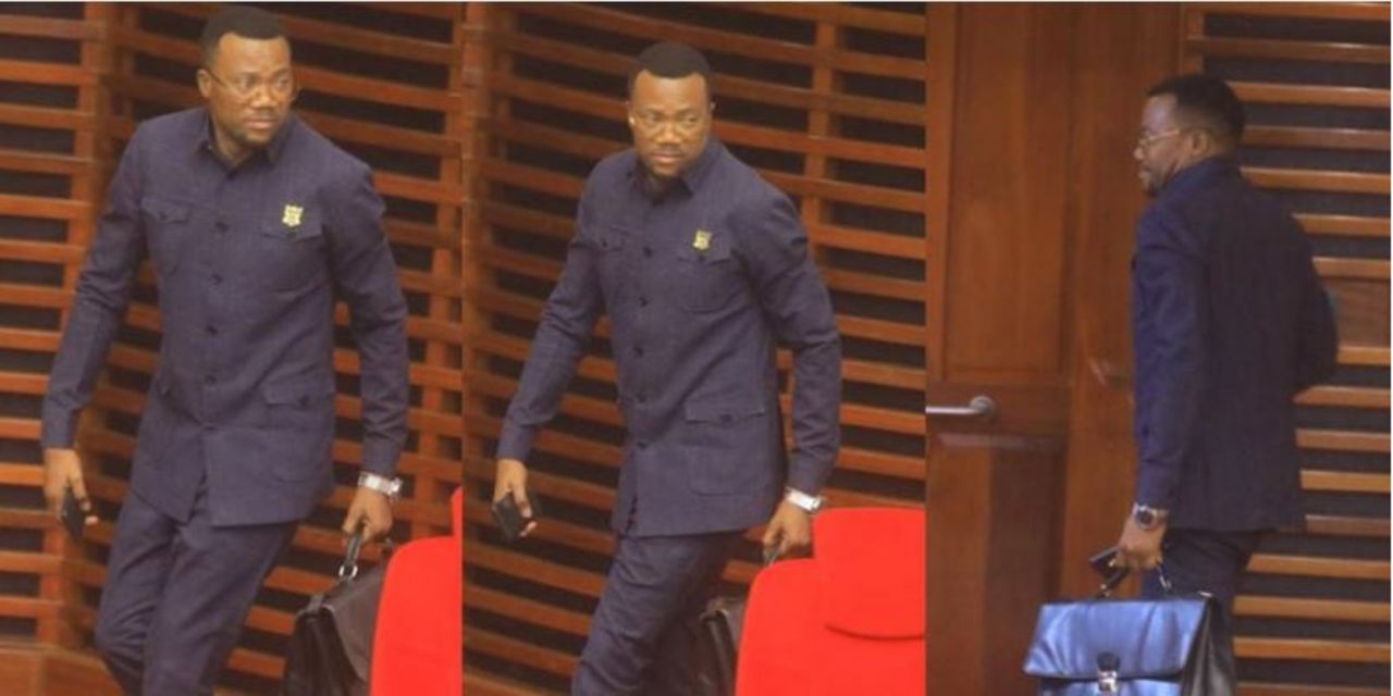 Tanzanian legislator, Mpina, barred from attending 15 parliamentary ...