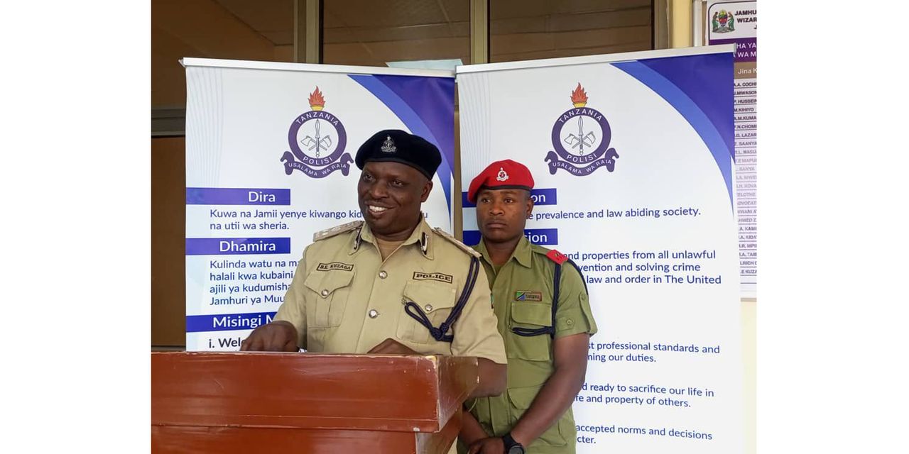 Artist arrested for insulting Tanzanian president and burning her ...