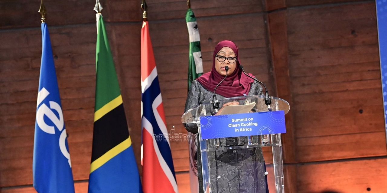 Advancing clean cooking solutions both in Tanzania and beyond | The Citizen
