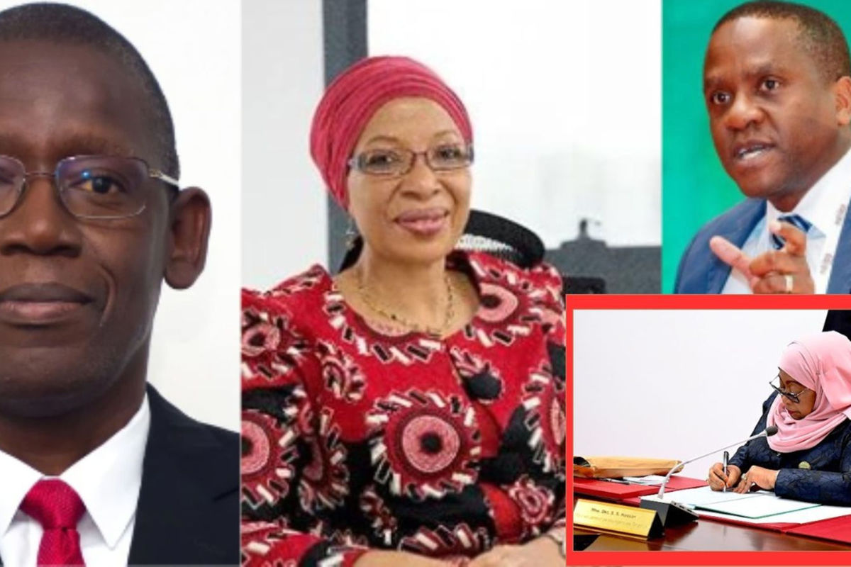 Key parastatal heads axed in Samia's latest reshuffle | The Citizen