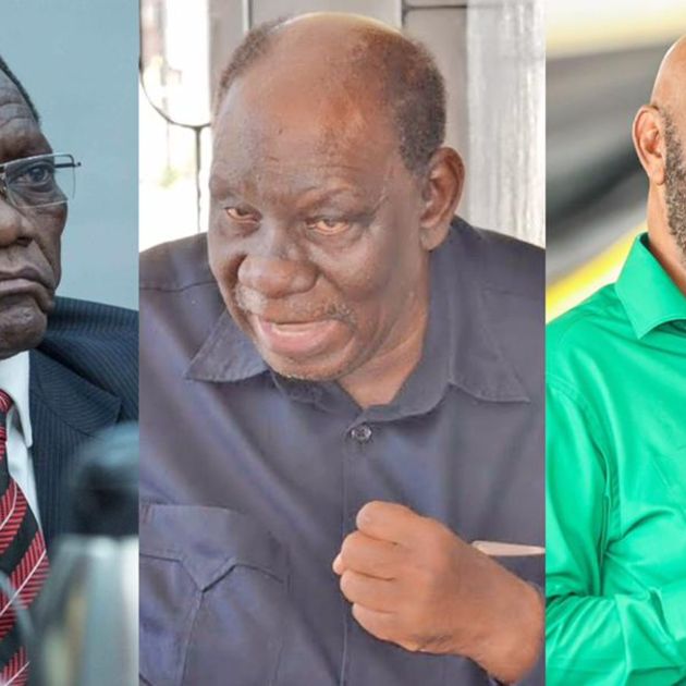 Kinana’s successor to be announced on January 19: CCM | The Citizen