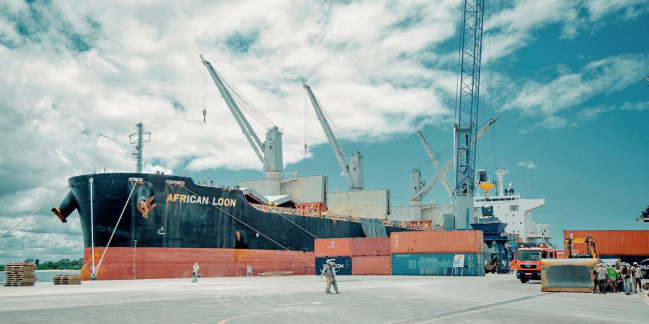 Tanga Port’s future as a gateway to the world | The Citizen