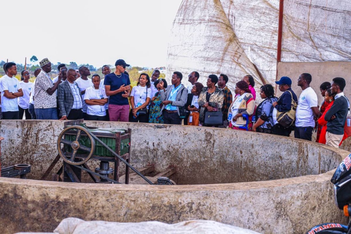 Innovative waste management initiative lights up CSO Week | The Citizen