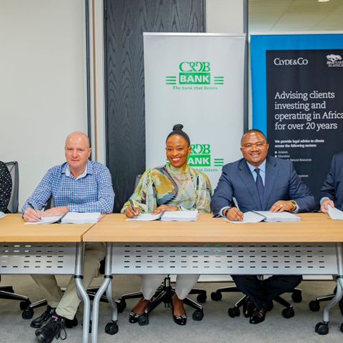 Tanzania unleashes global graphite ambition with Mahenge project | The ...