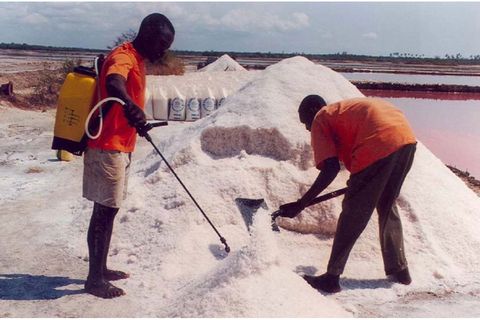 The Citizen | The Citizen