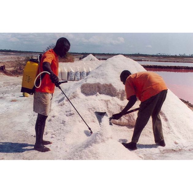 Tanzania to introduce special salt licences to boost production | The ...