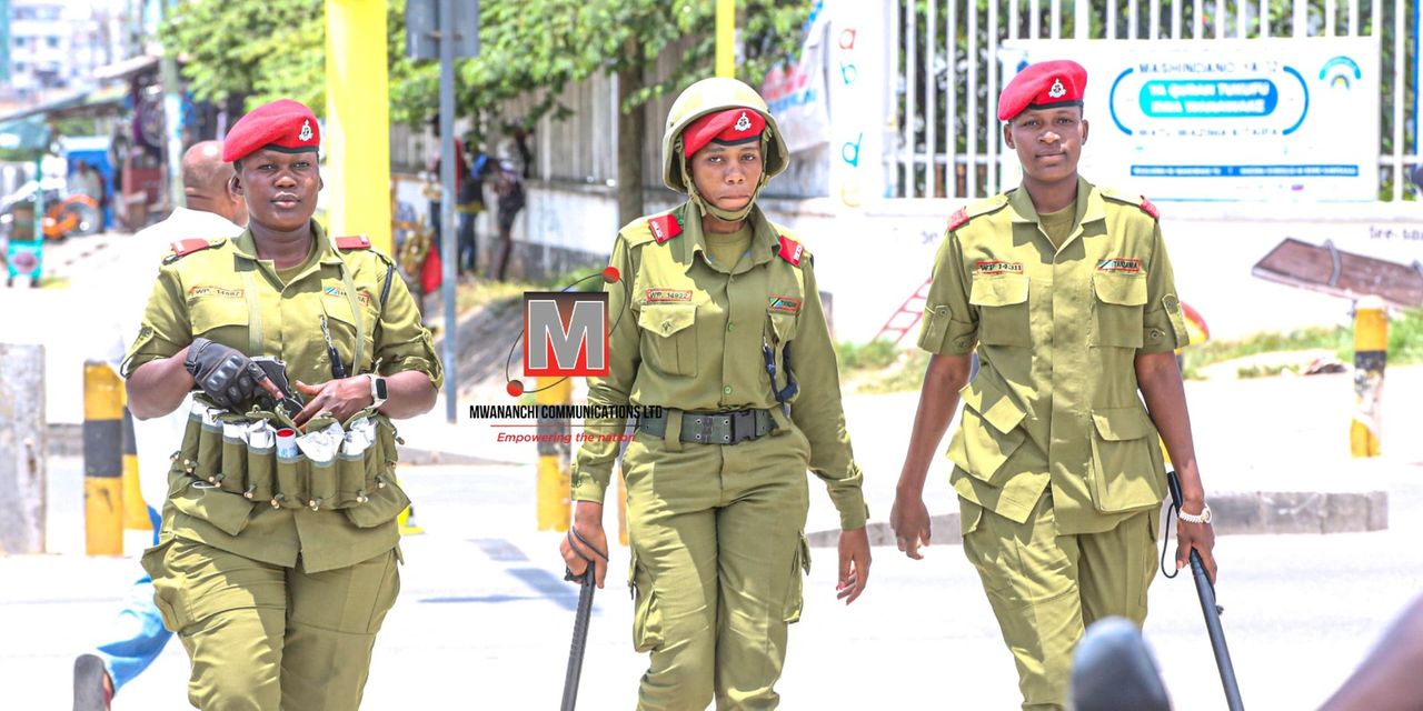 Tanzania Police Force among the best in Africa, says report | The Citizen