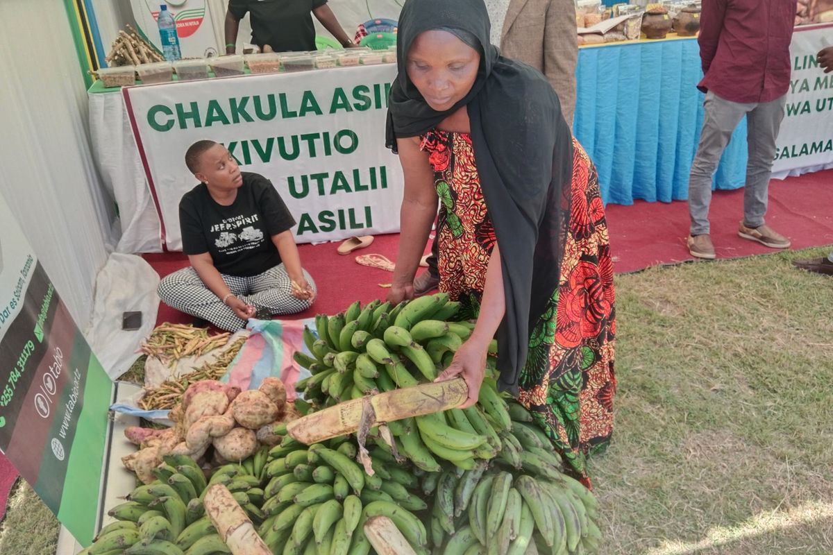 Lake Zone farmers urge action to save indigenous crop seeds from ...