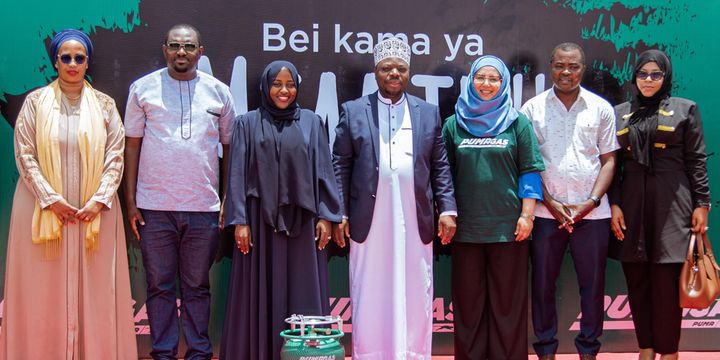 Fatma Abdallah: Puma Energy CEO on sustainable energy course for ...