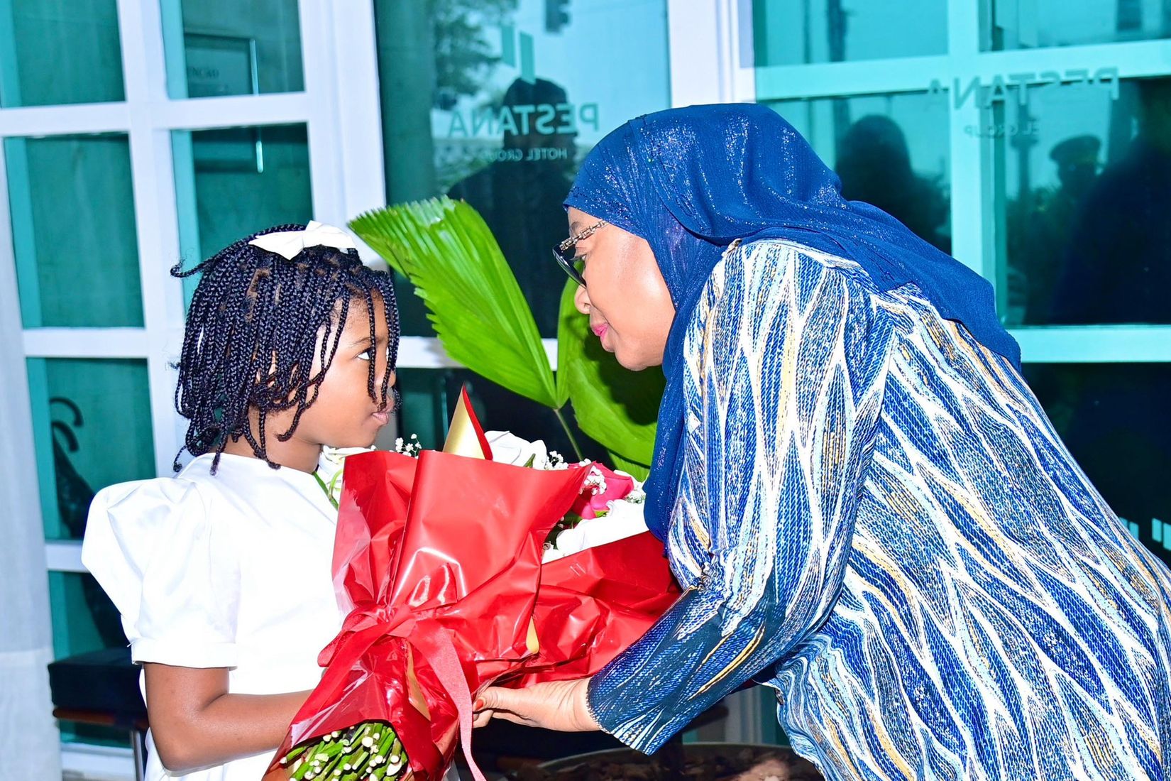 President Samia arrives in Rio de Janeiro for G20 Summit | The Citizen