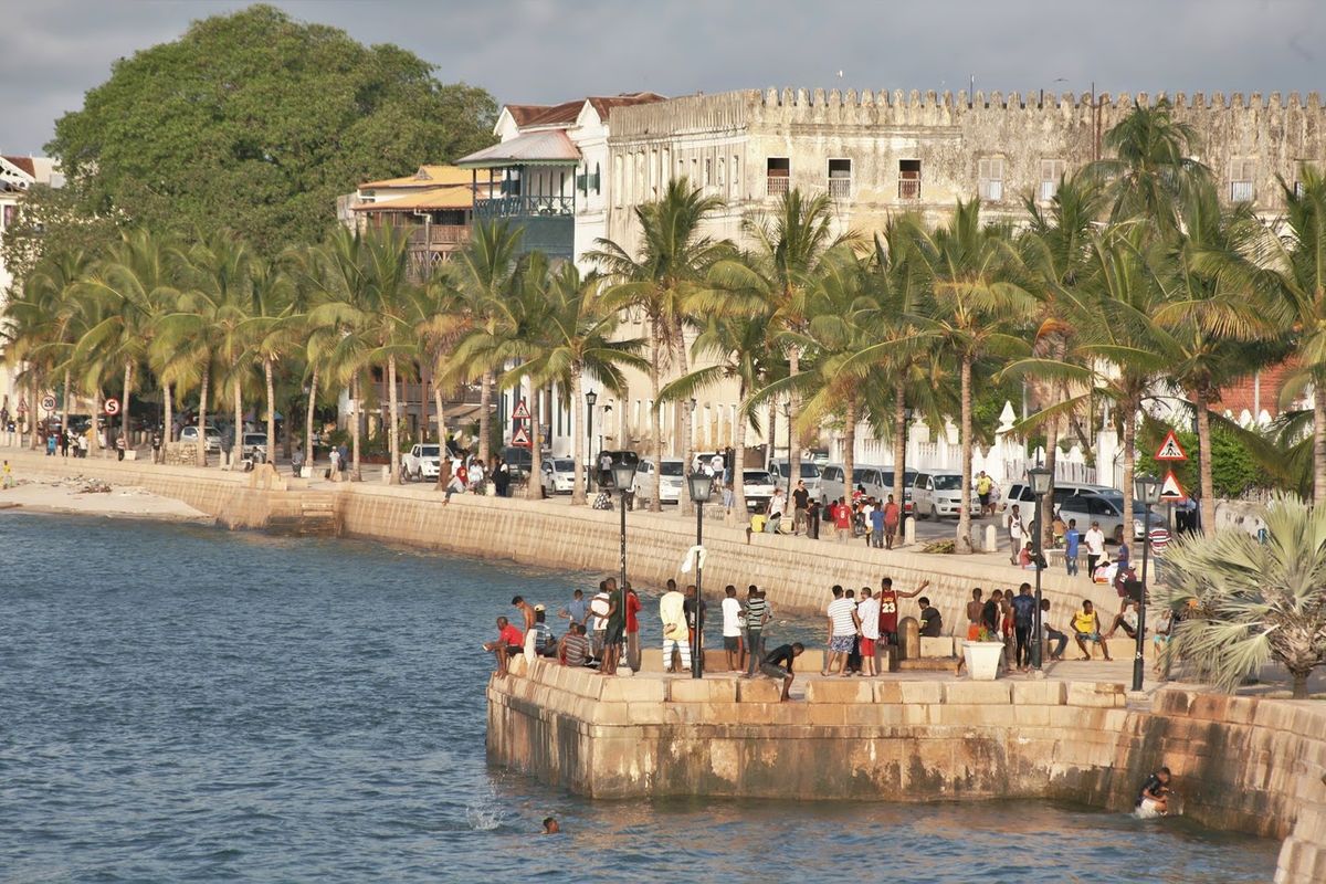 How Zanzibar hopes to promote economic growth with mining law | The Citizen