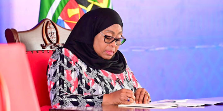President Samia announces cabinet reshuffle and other key appointments ...