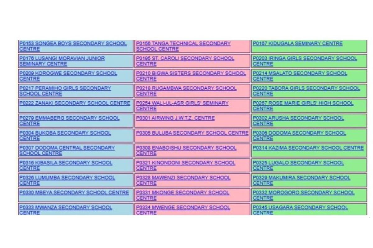 NECTA releases Form Two and Standard Four national assessment results ...