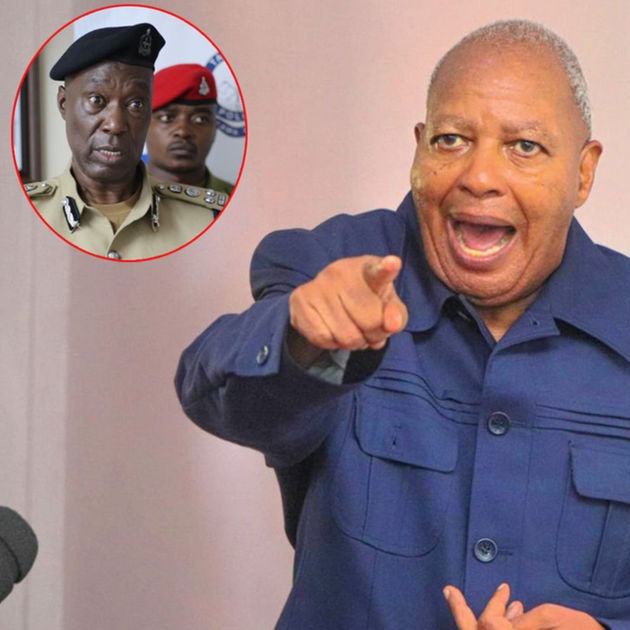 Slaa charged with spreading false information online | The Citizen