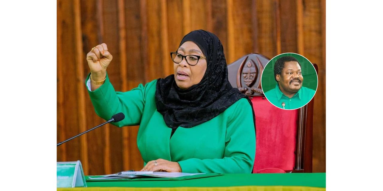 President Samia names Dr Nchimbi as running mate for October 2025 ...