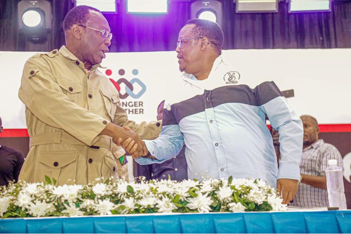 It’s D-day for Tanzania’s Chadema chairmanship battle | The Citizen