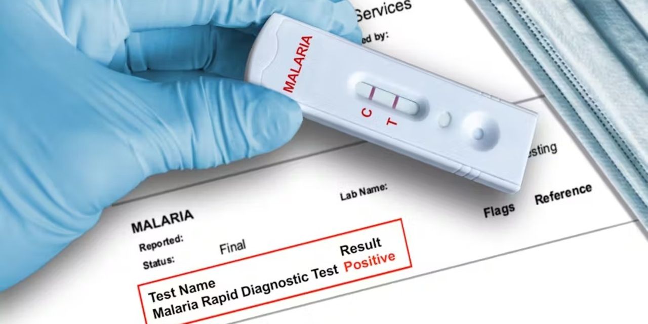 Malaria claims 16 lives weekly at Tanzania’s refugee camp | The Citizen