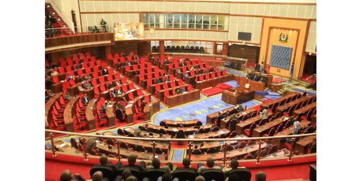Indian High Commission hosts AI session for Tanzanian lawmakers | The ...