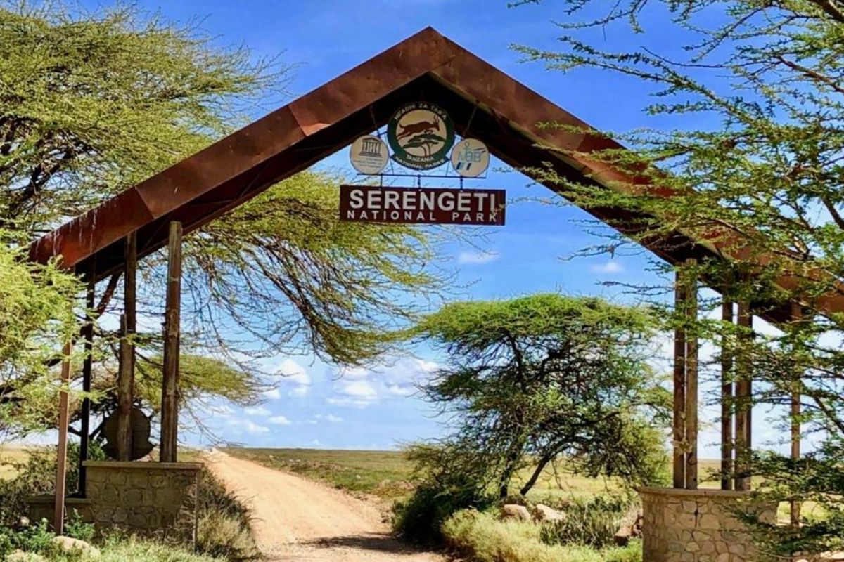 US investors mull IPO for five-star hotel near Serengeti National Park ...