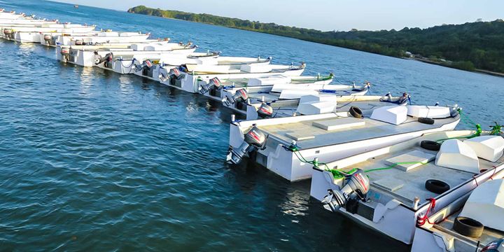 President Samia unveils 35 modern fishing boats in Pangani | The Citizen