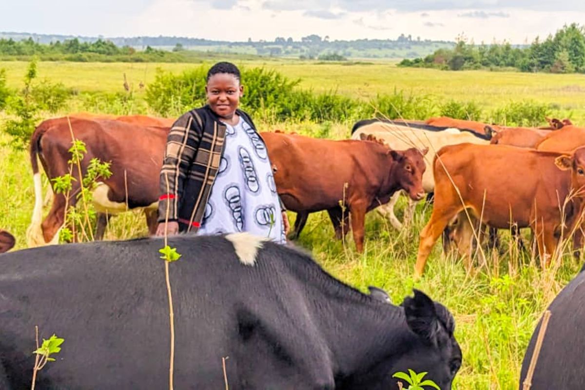 Mufindi encouraged to utilize Sao Hill for livestock training | The Citizen
