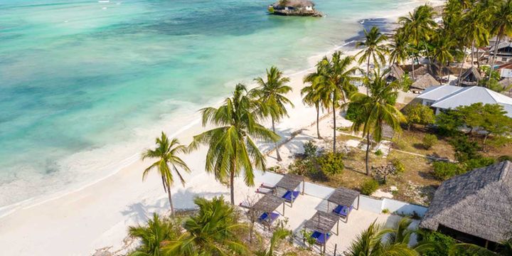 Zanzibar moves to online-only licensing for tourism operators | The Citizen