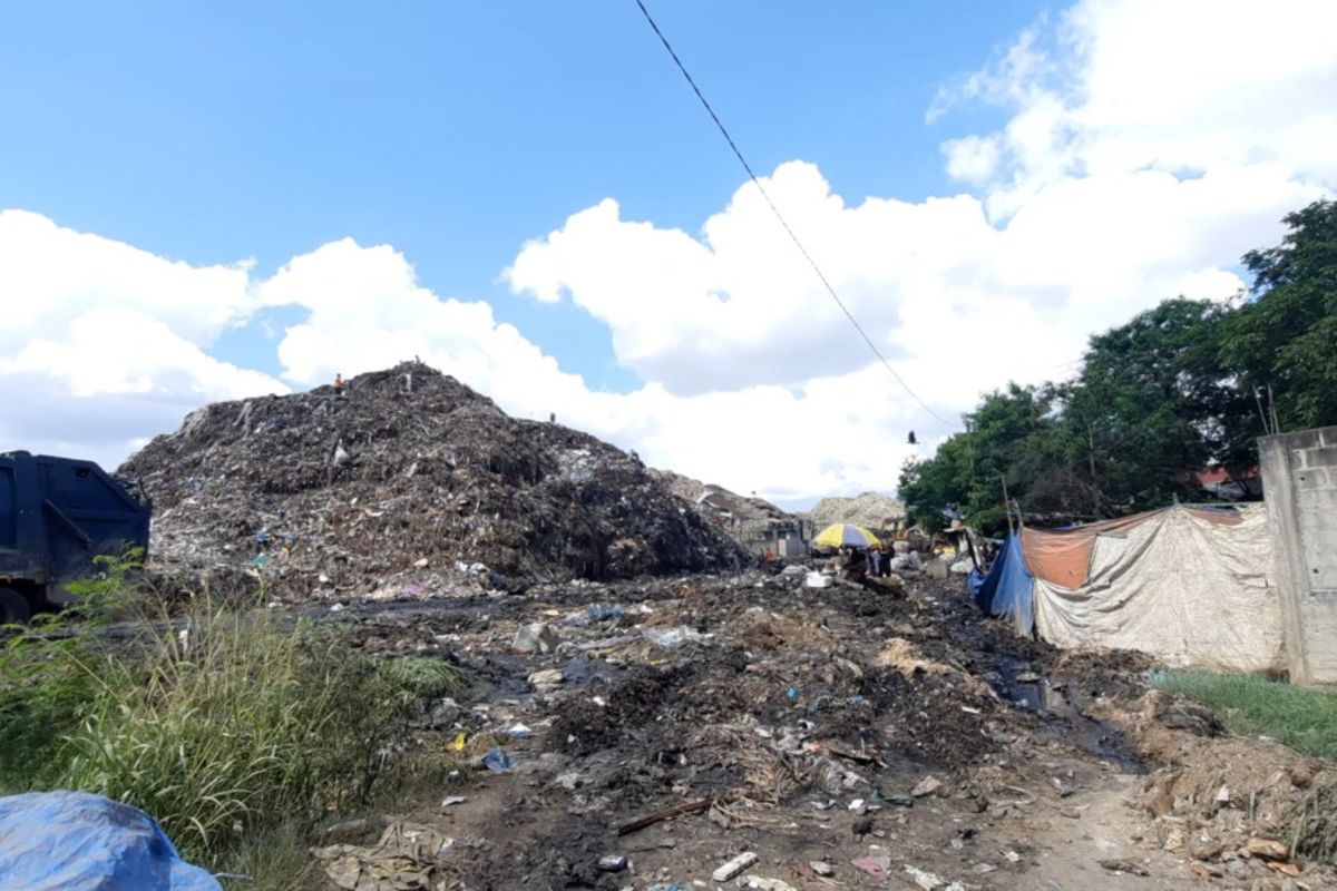Food Waste in Tanzania: A growing threat to climate, public health ...