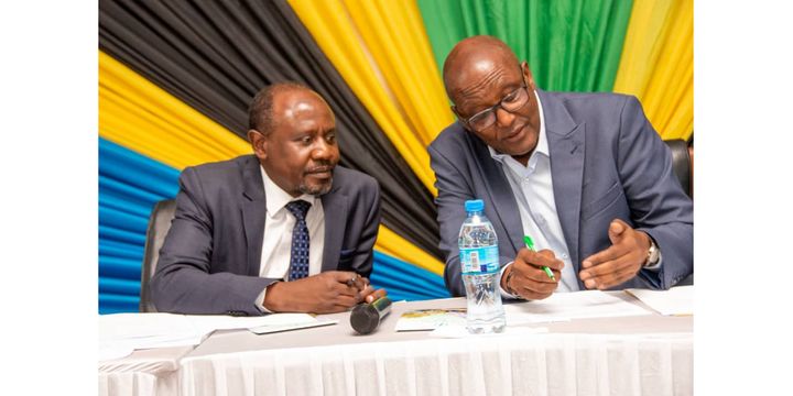 Tanzania to empower youths with 'Mining for Better Tomorrow' initiative ...