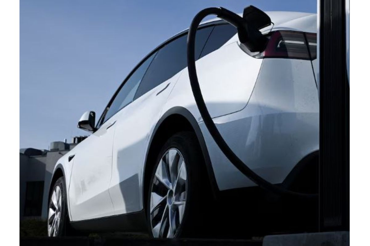 Tesla's February market share in Europe drops despite EV pickup | The ...