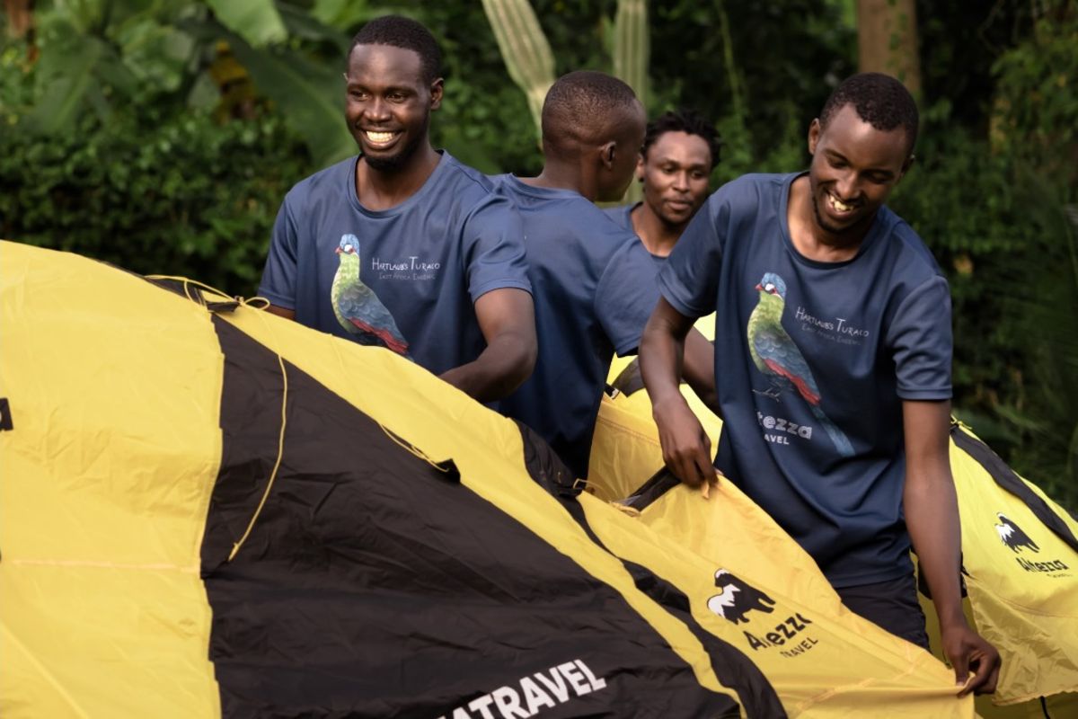 Altezza Travel sets new milestone with 2025 goal to serve 5,500 ...