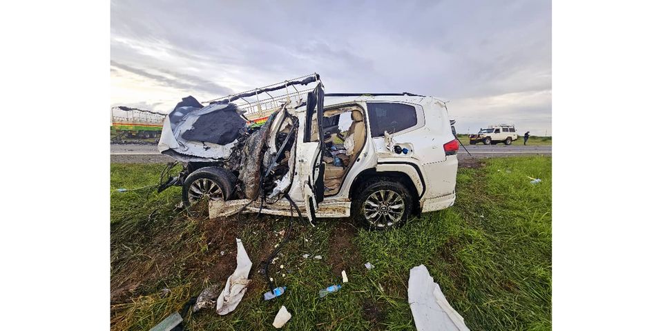 Tanesco MD, Gissima Nyamo-Hanga, dies in road accident | The Citizen