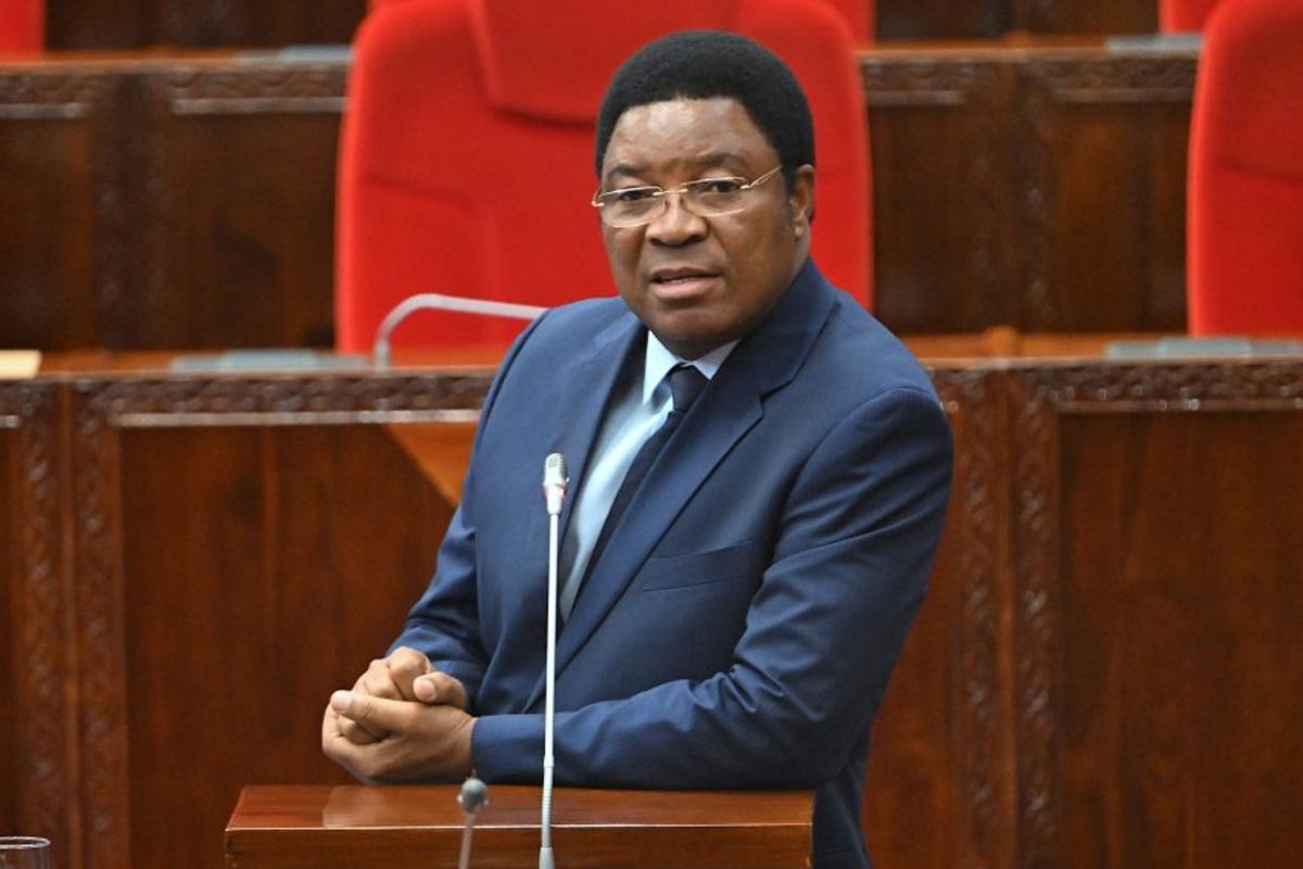 Majaliwa pushes clean cooking, election readiness as Parliament ...