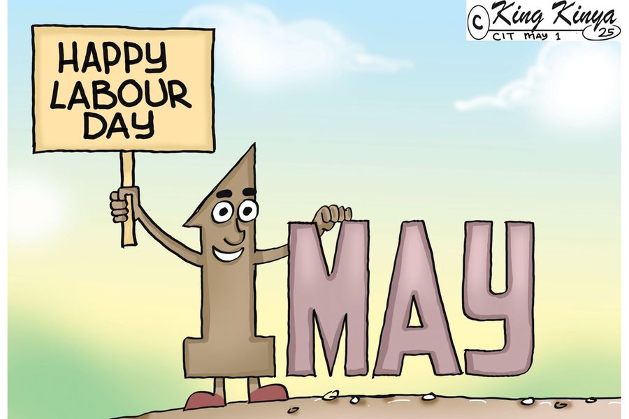 Cartoon | The Citizen