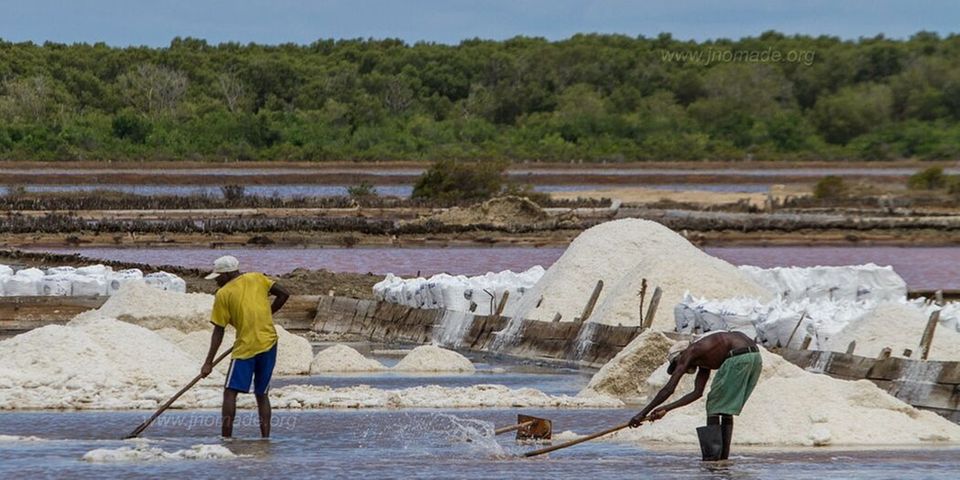 Tanzania to introduce special salt licences to boost production | The ...