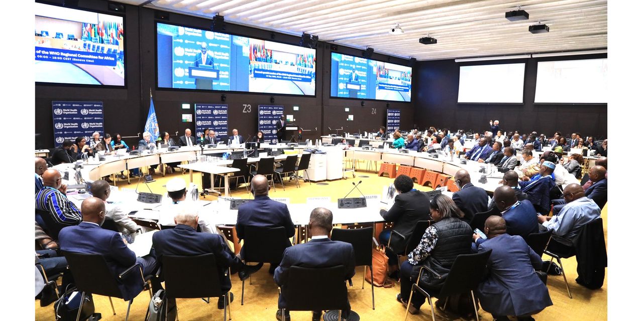 Tanzania’s Prof Janabi unveils bold vision in bid for WHO Africa ...