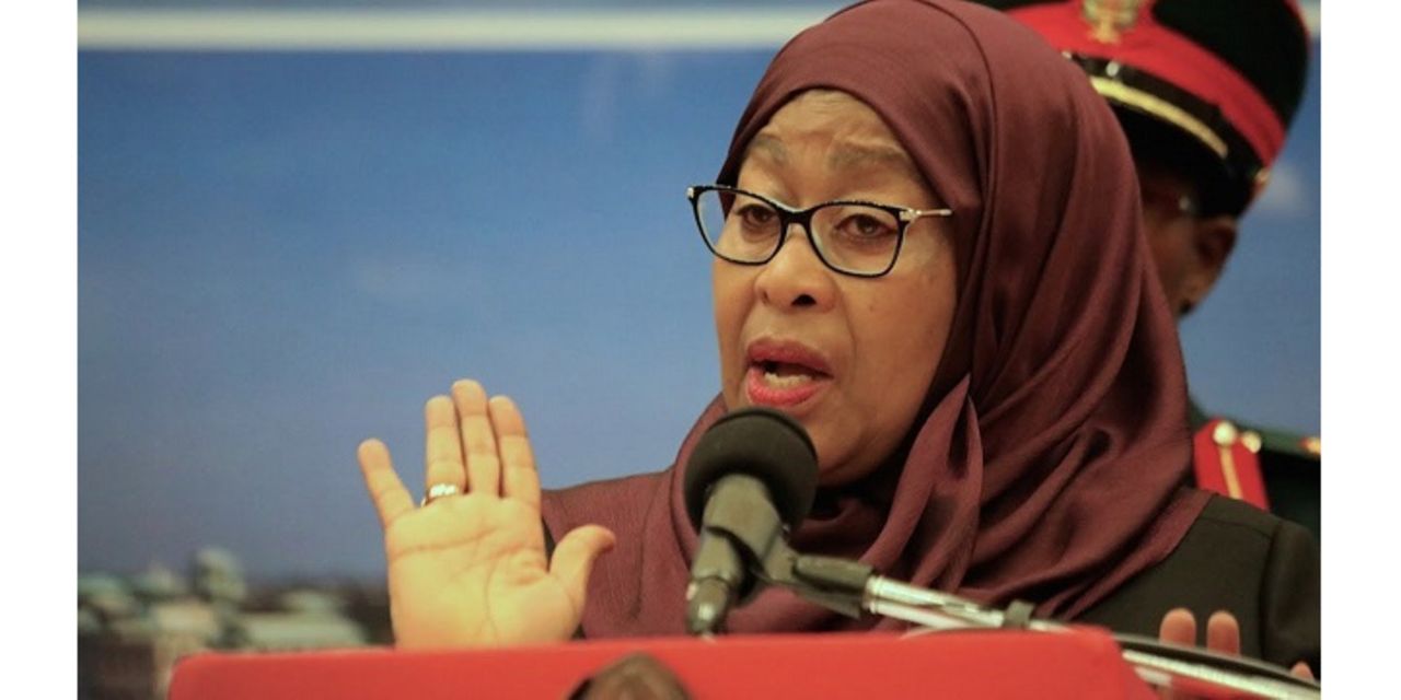 “Tanzania is not a no man’s land”: Samia tells EAC activists | The Citizen