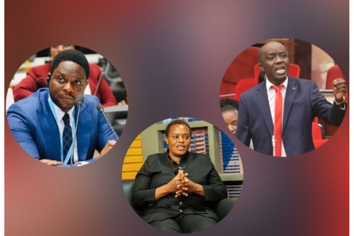 Tanzania is not a public toilet, MPs tell Kenyan activists | The Citizen