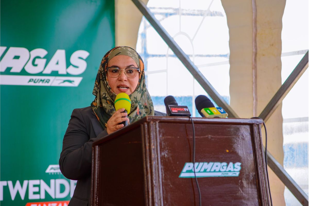 Puma Energy Tanzania, Alliance One partner to install 570kW rooftop ...